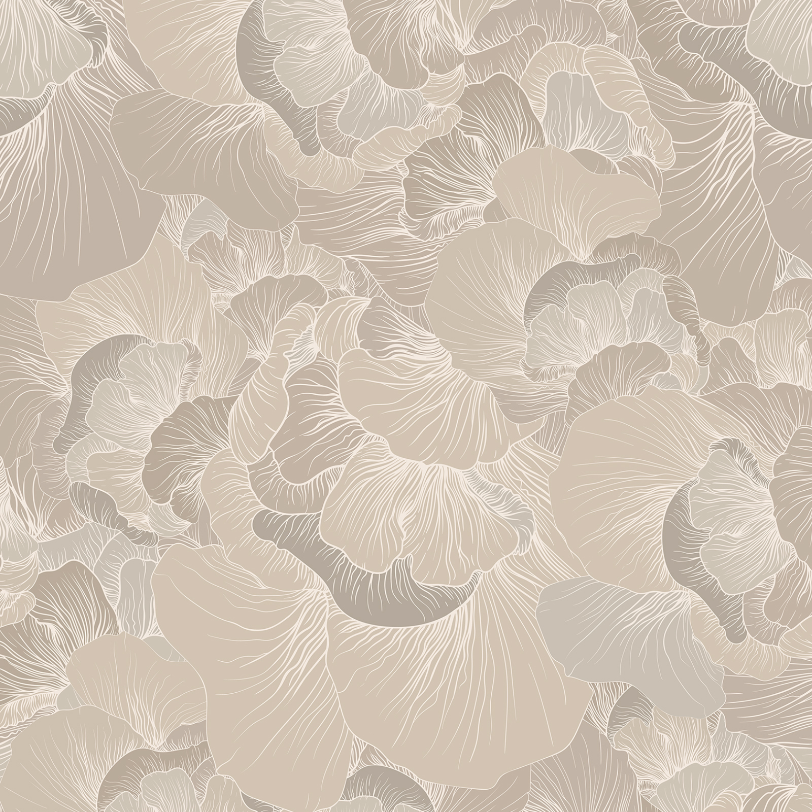 Neutral Color Wallpapers - Wallpaper Cave