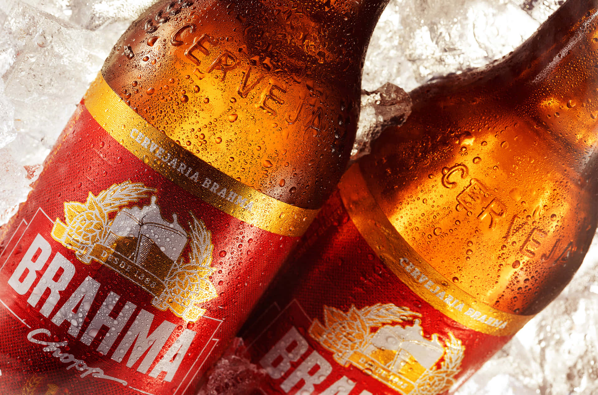 Brahma Beer Wallpapers - Wallpaper Cave