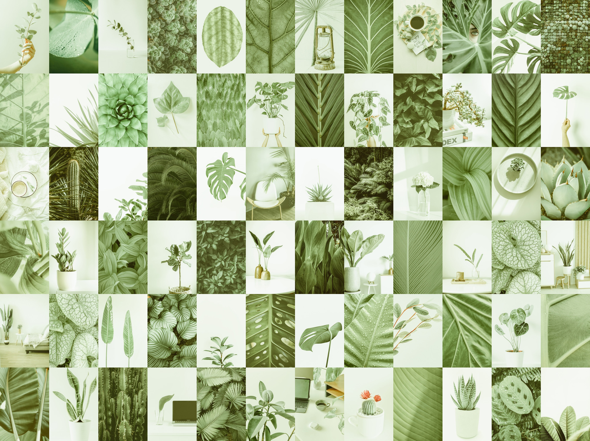 Sage Green Aesthetic Collage Wallpapers - Wallpaper Cave