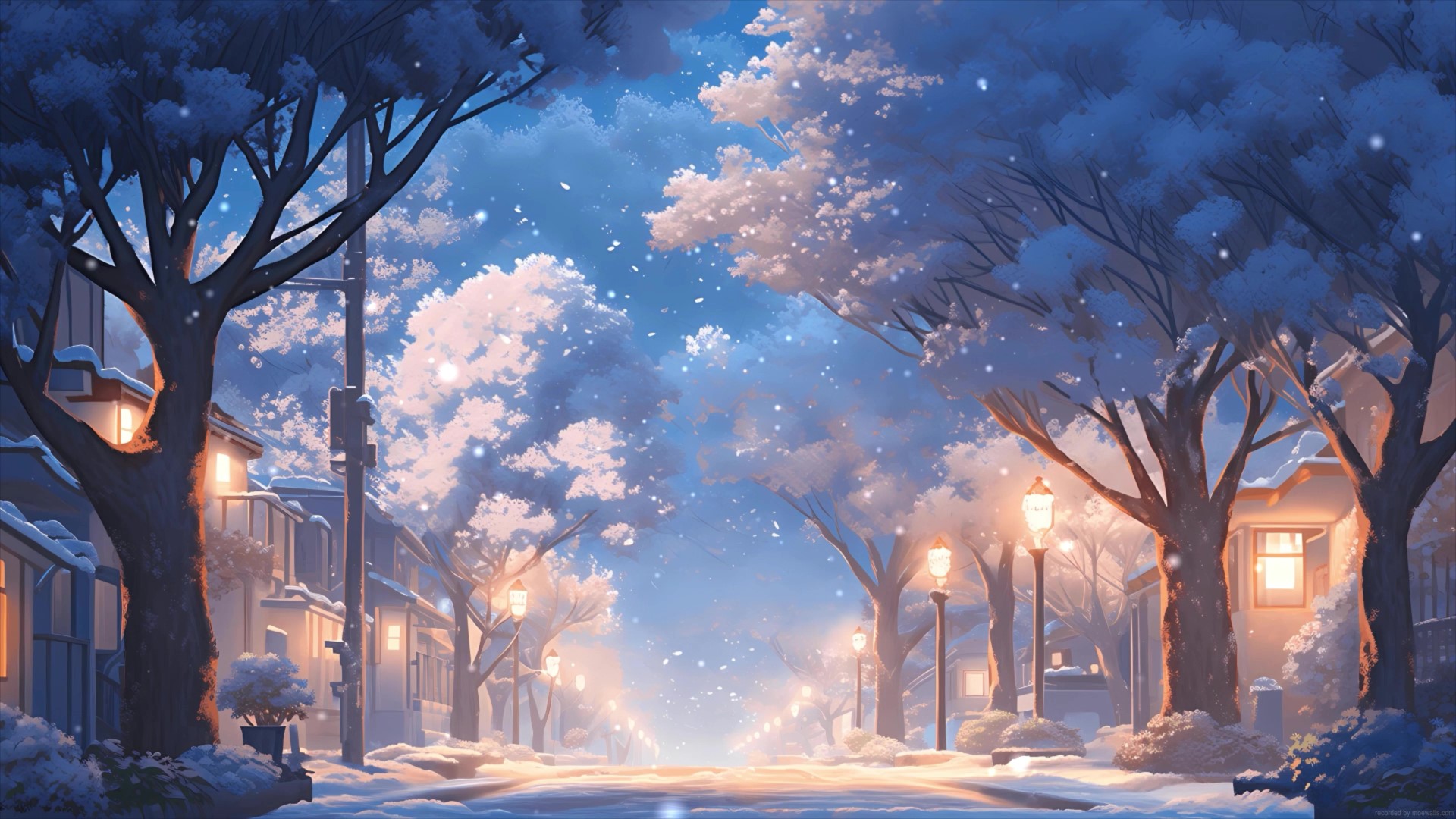Winter Nights 1920x1080 Wallpapers - Wallpaper Cave