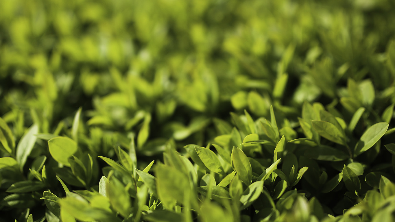 Desktop Spring Green Wallpapers - Wallpaper Cave