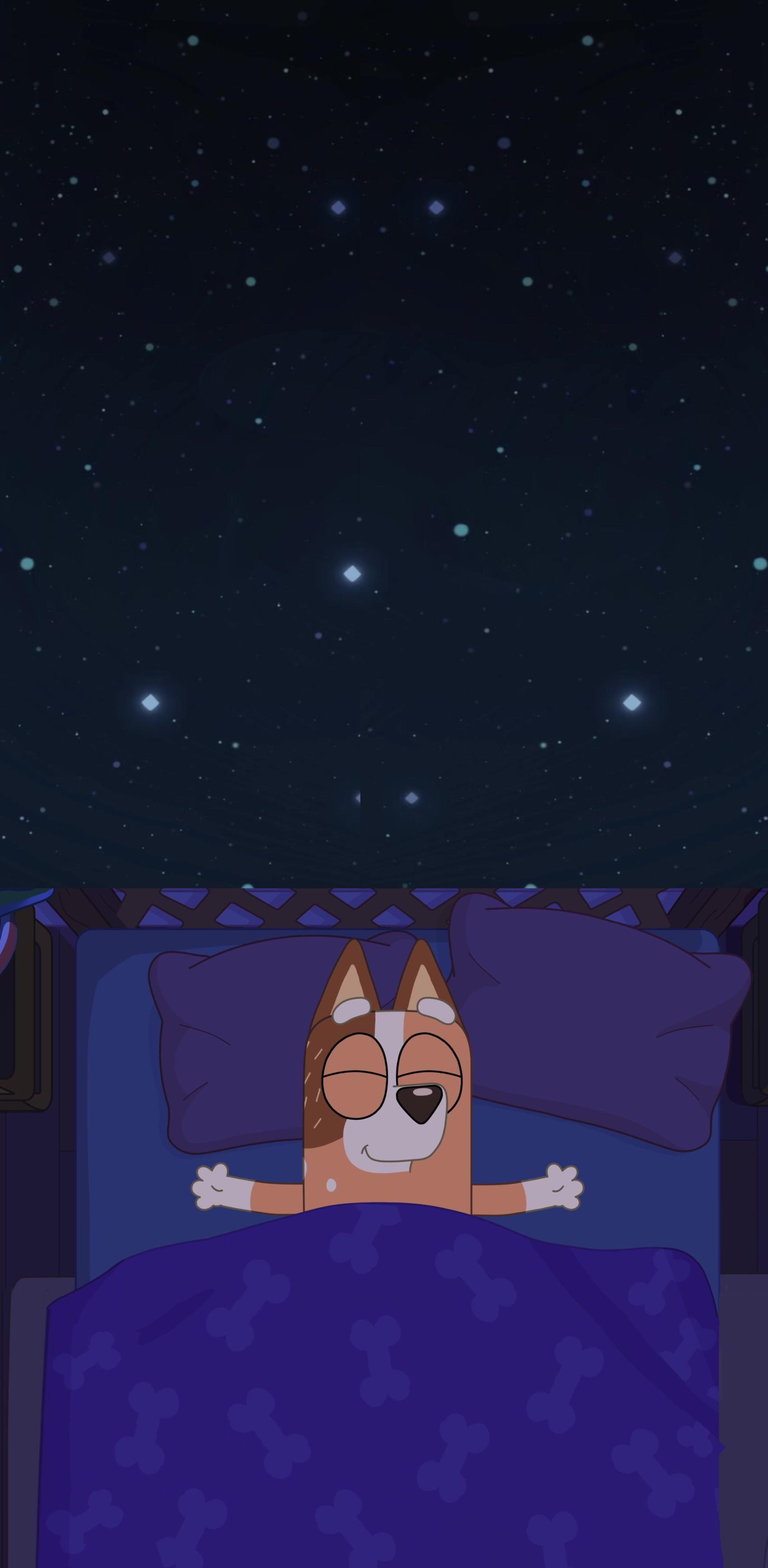 Bingo Bluey Sleeping Wallpapers Wallpaper Cave