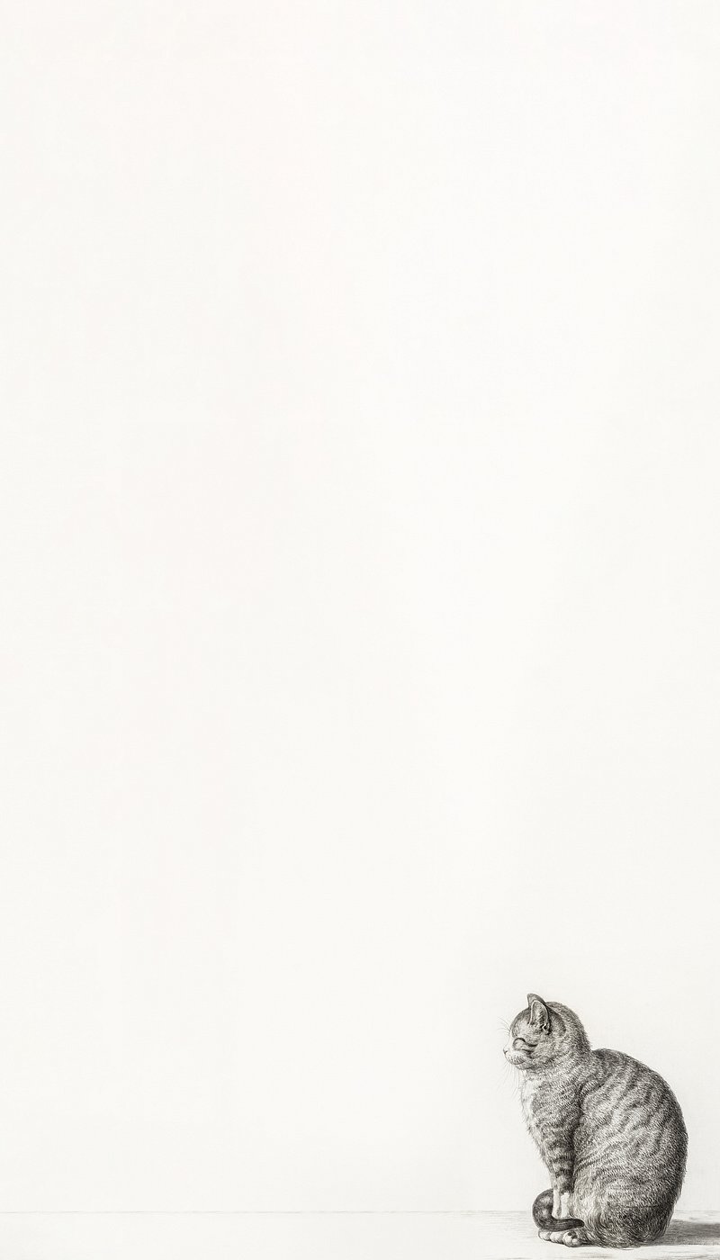 Vintage Cat Wallpapers - Wallpaper Cave