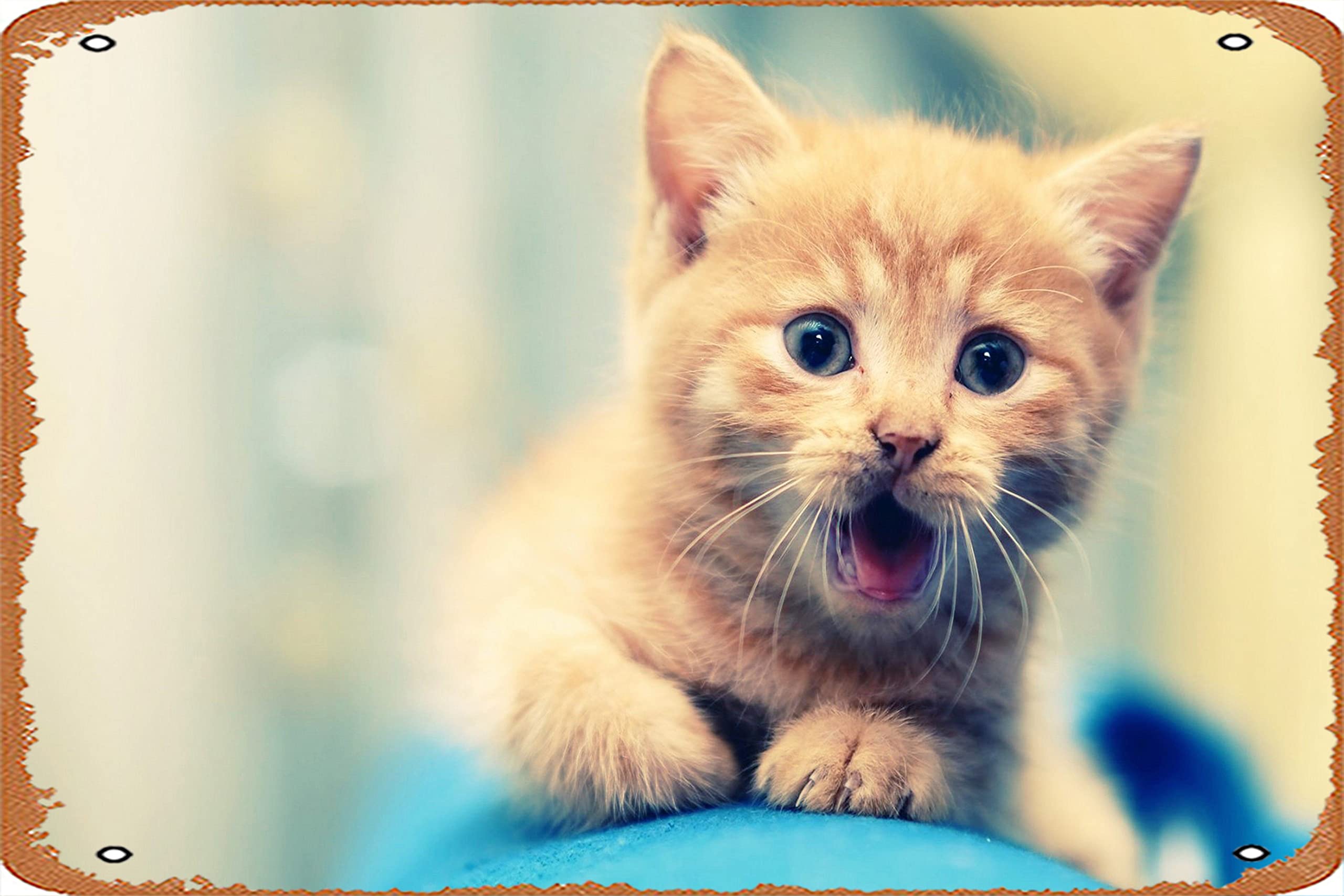 Vintage Cat Wallpapers - Wallpaper Cave