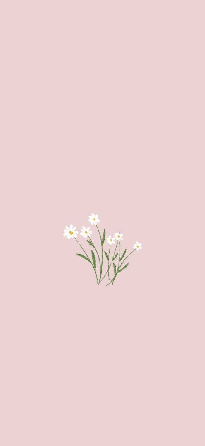 Spring Minimalist Aesthetic Wallpapers - Wallpaper Cave