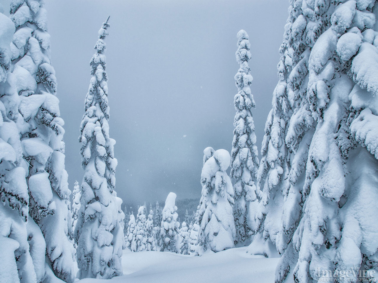 Silver Winter Wallpapers - Wallpaper Cave