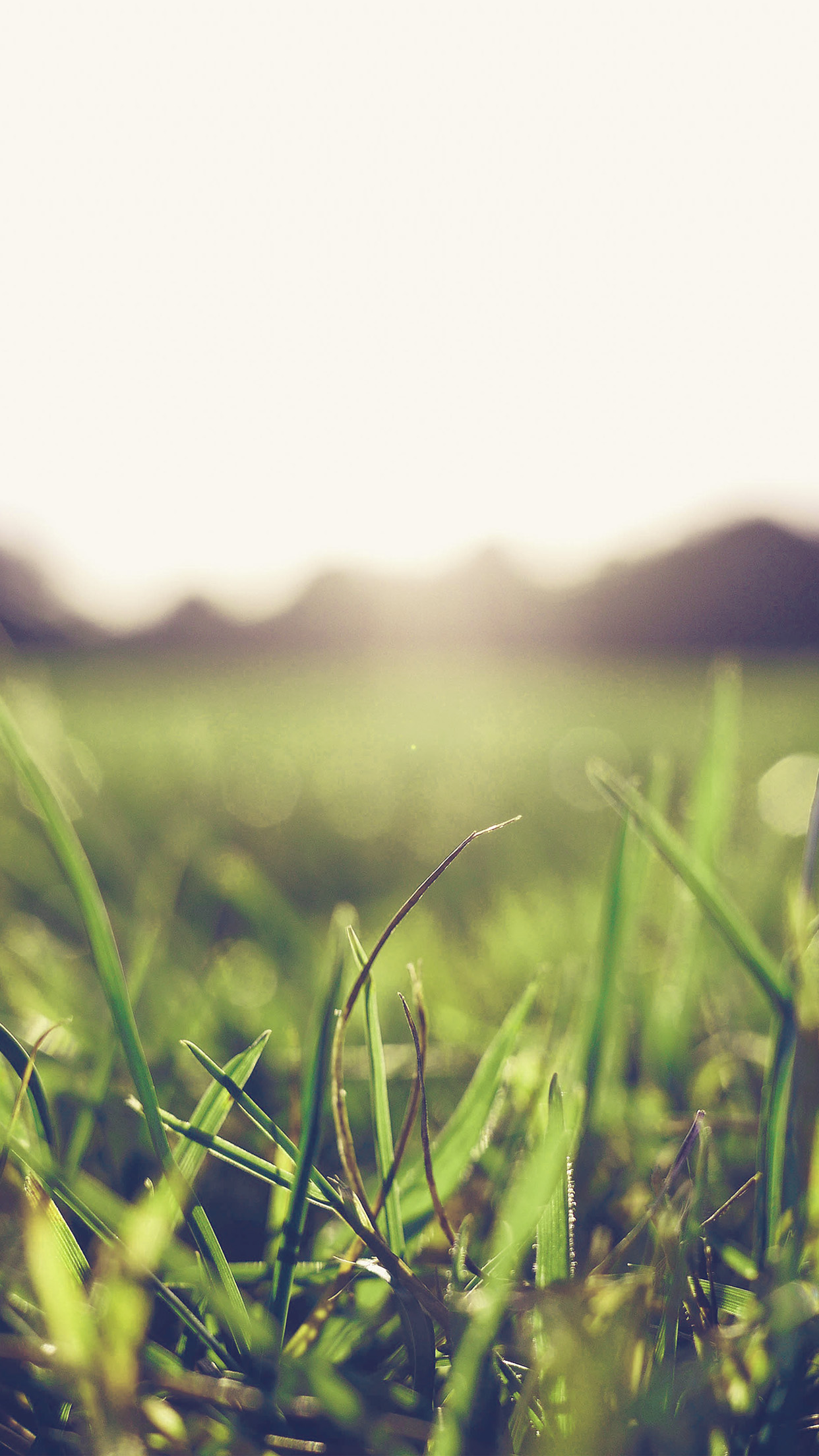 Grass iPhone Wallpapers - Wallpaper Cave