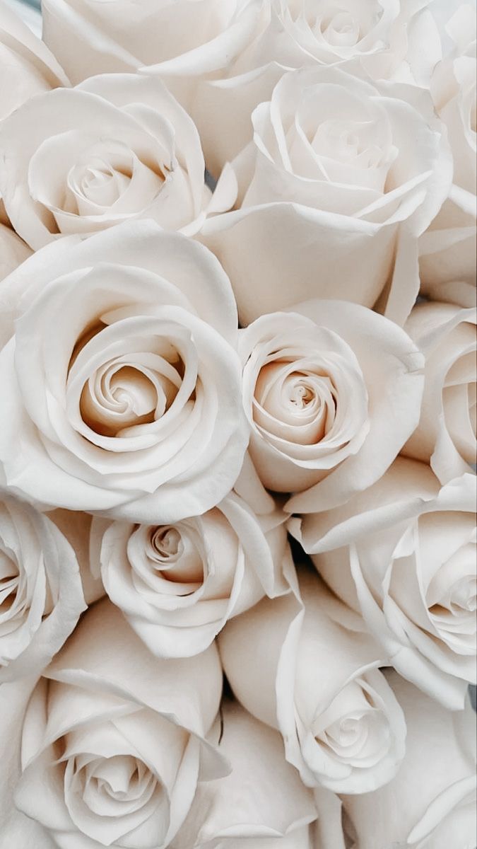 Cream iPhone Wallpapers - Wallpaper Cave