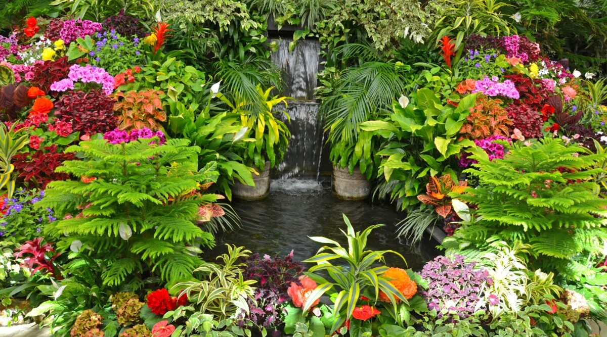 Tropical Garden Wallpapers - Wallpaper Cave