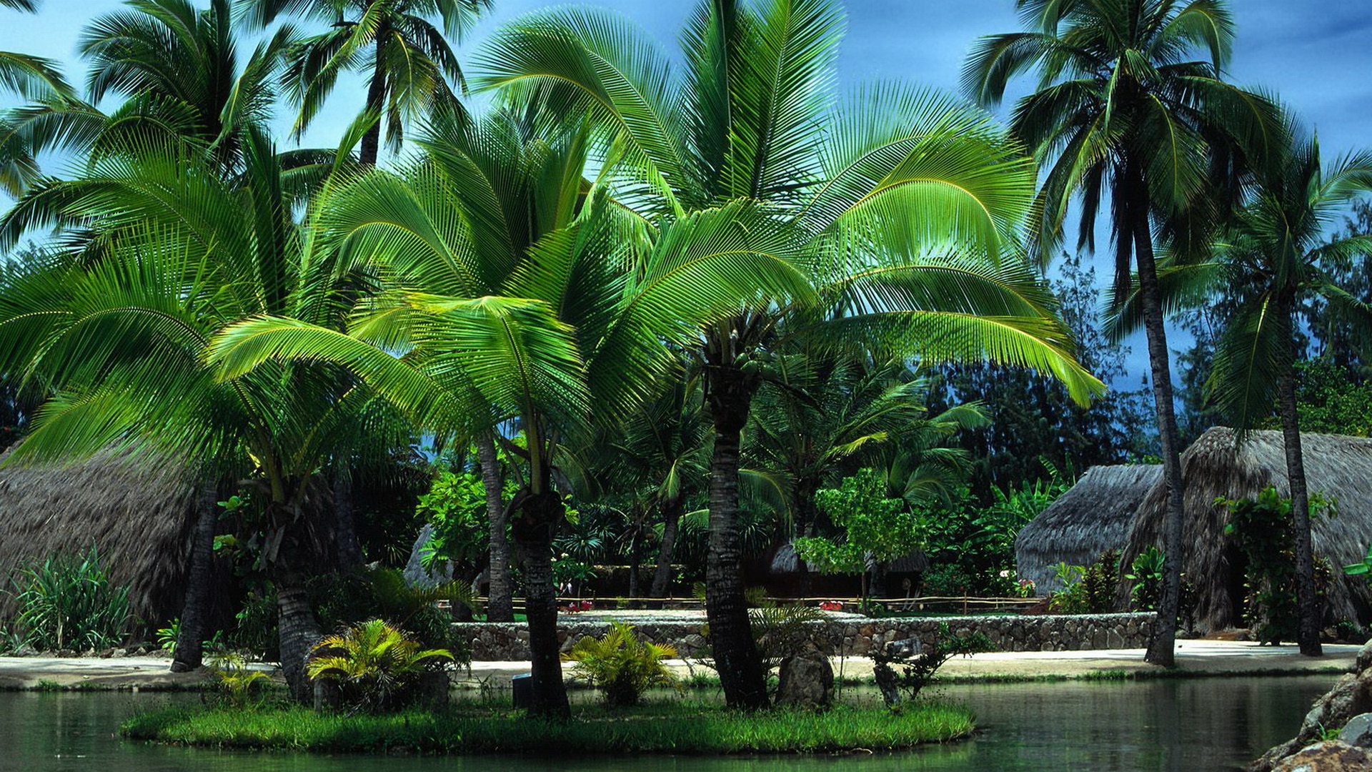 Tropical Garden Wallpapers - Wallpaper Cave