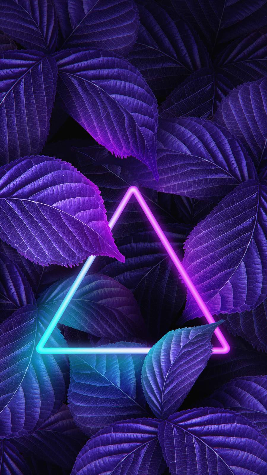 iPhone RGB Wallpapers - Wallpaper Cave