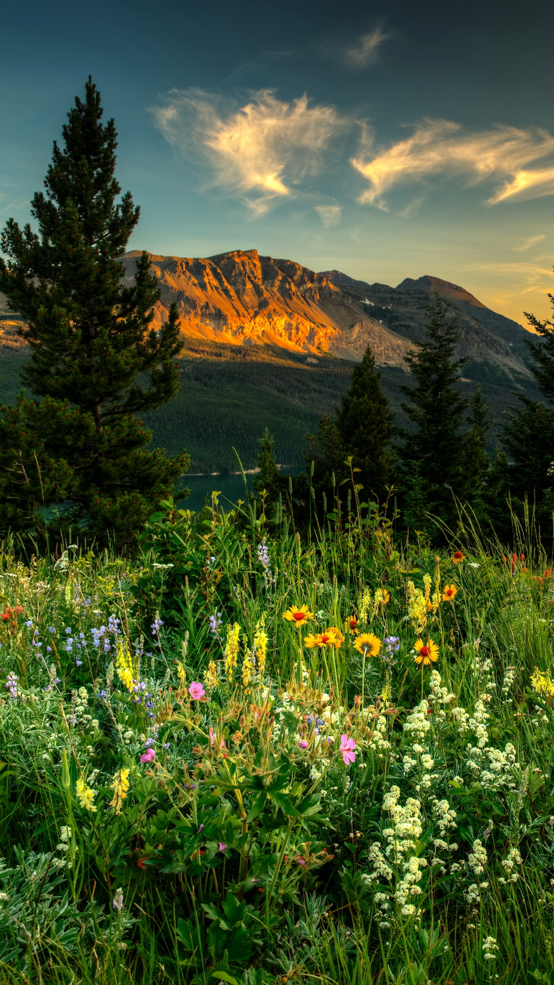 Spring Time Phone Wallpapers - Wallpaper Cave