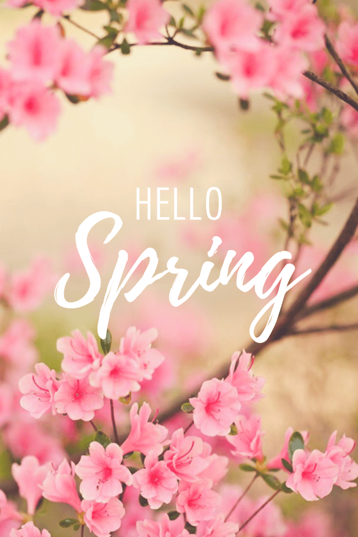 Spring Time Phone Wallpapers - Wallpaper Cave