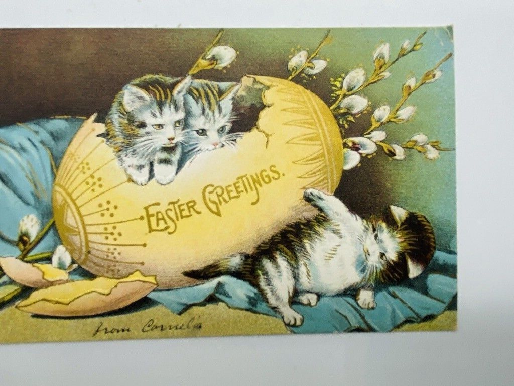 Happy Easter Cat Wallpapers - Wallpaper Cave