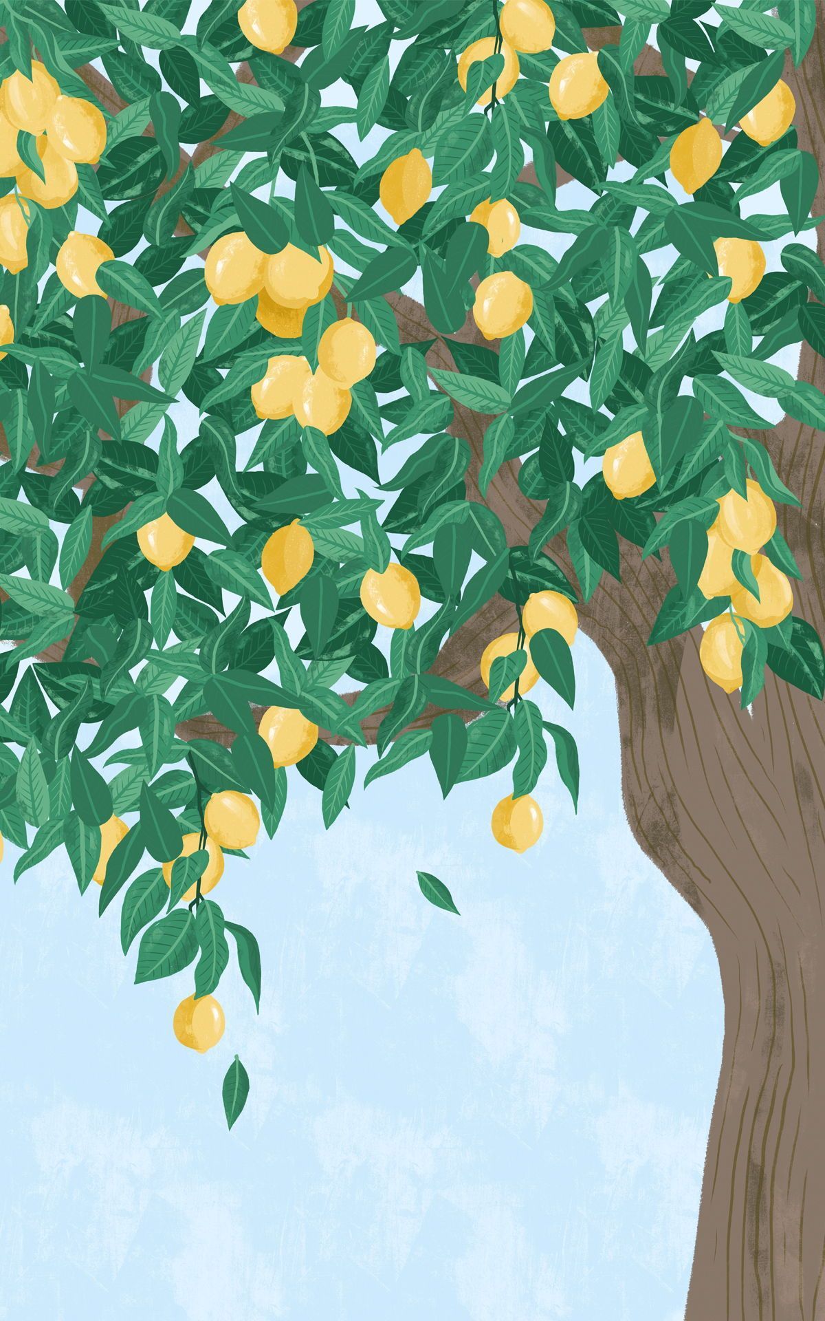 Spring Lemons Wallpapers - Wallpaper Cave