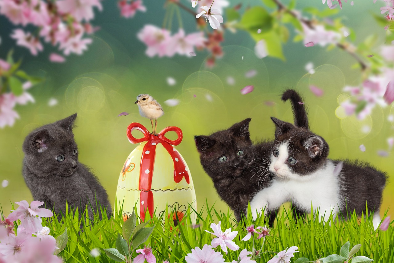 Happy Easter Cat Wallpapers - Wallpaper Cave Happy Easter Cat Wallpapers - Wallpaper Cave