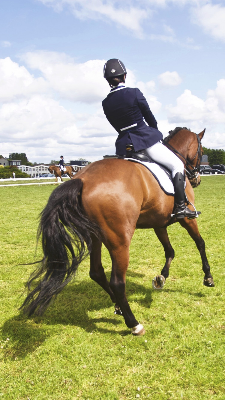 English Riding Wallpapers - Wallpaper Cave