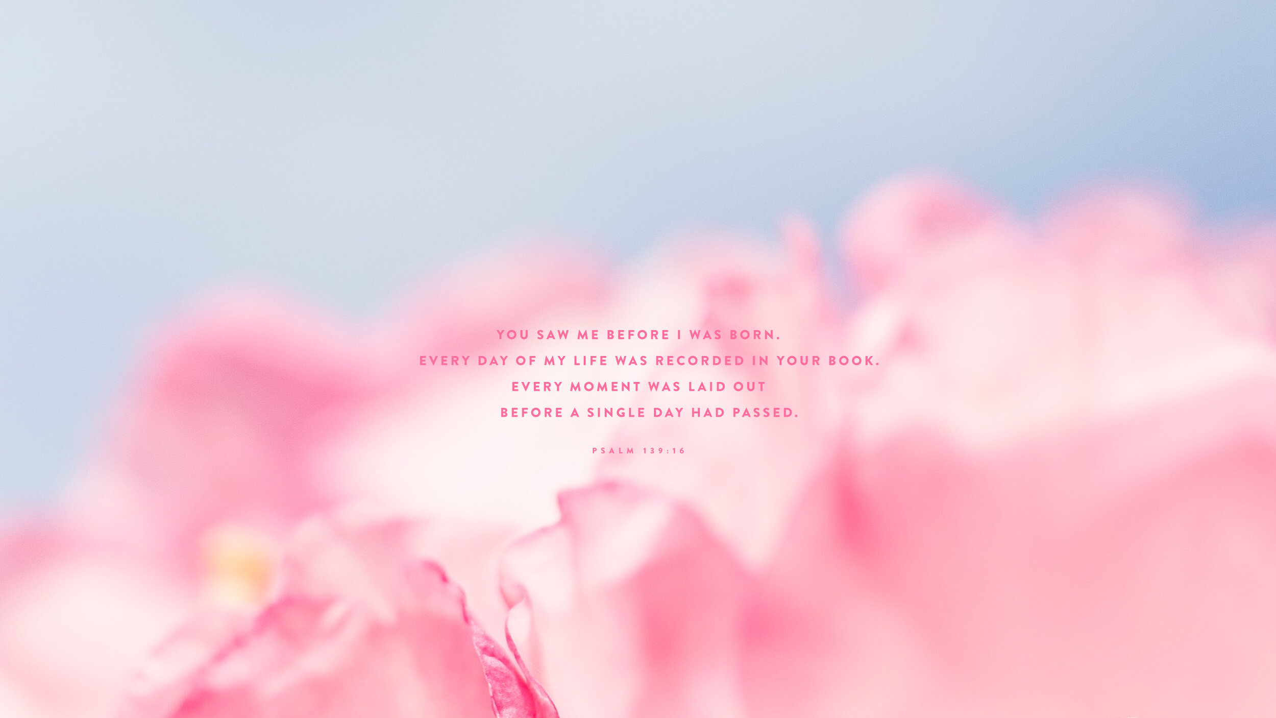 Pink Bible Verse Computer Wallpapers - Wallpaper Cave
