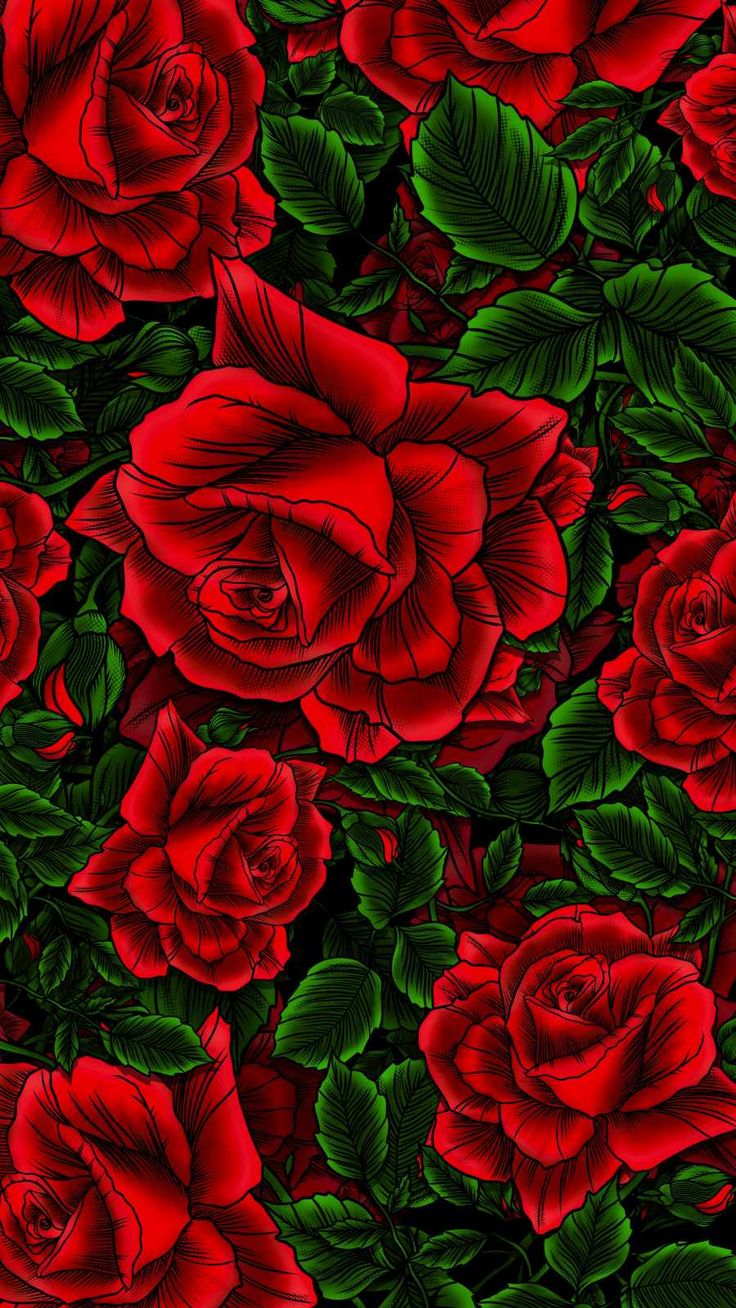 Red Rose iPhone Wallpapers - Wallpaper Cave