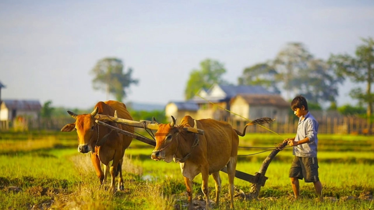 Bangladesh Village Wallpapers - Wallpaper Cave