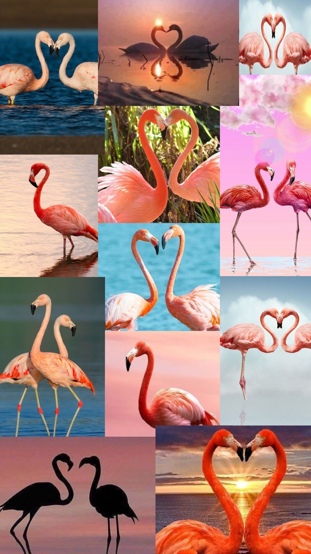 Flamingo Collage Wallpapers - Wallpaper Cave