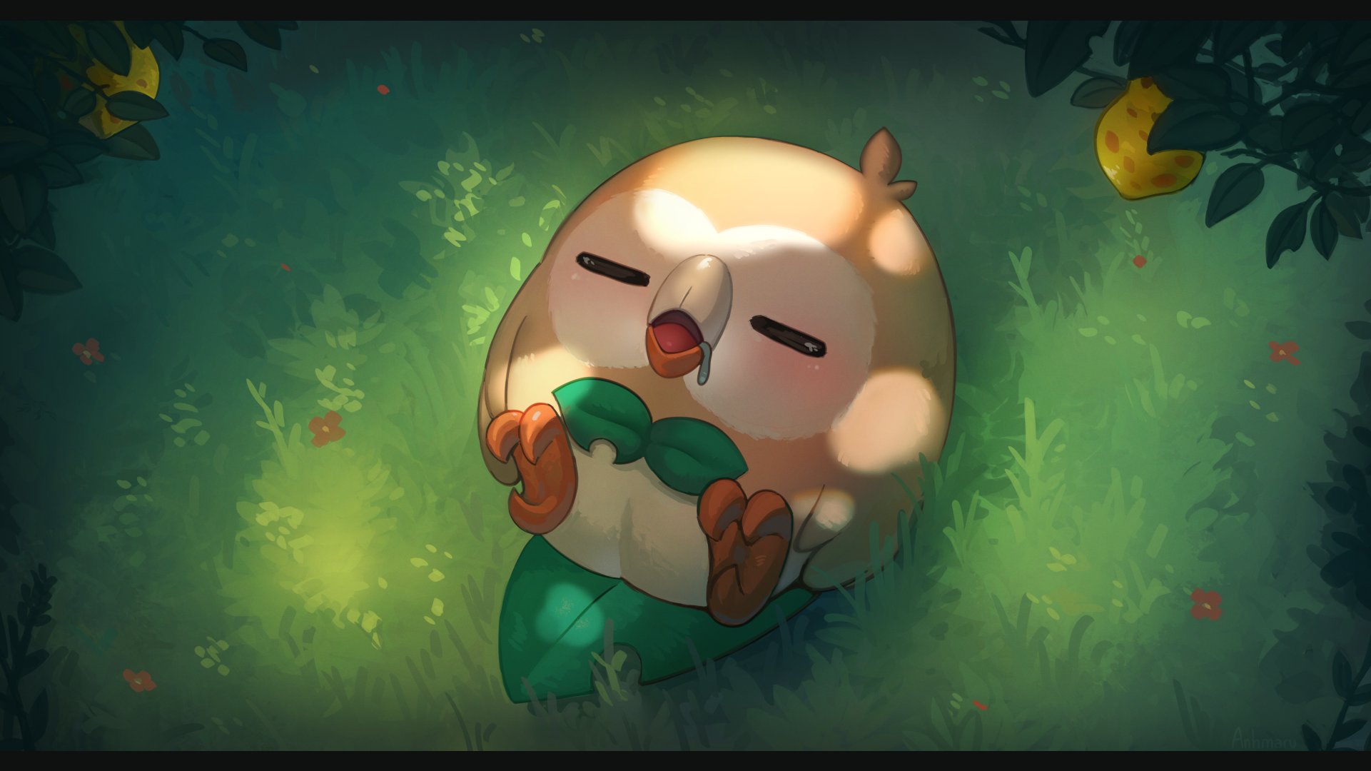 Pokémon Rowlet Wallpapers - Wallpaper Cave