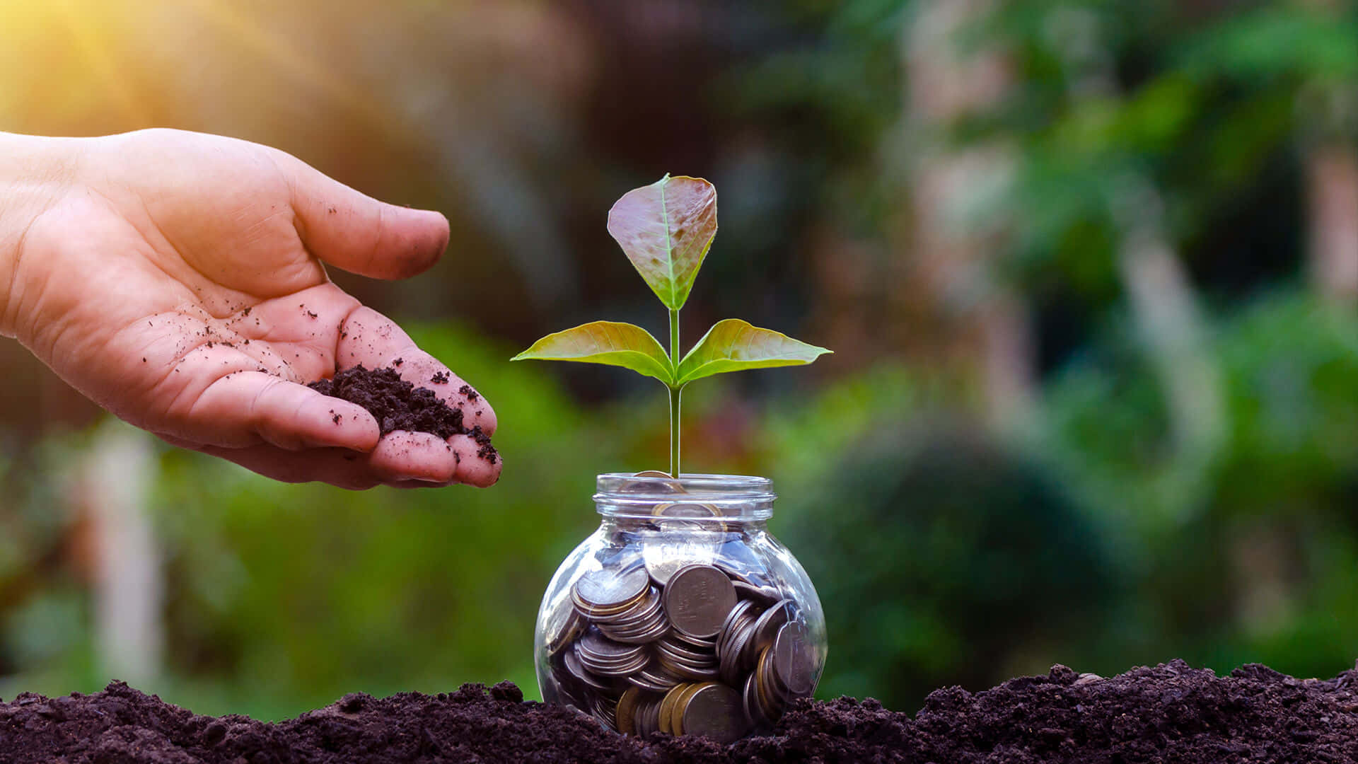 Mutual Fund Wallpapers - Wallpaper Cave