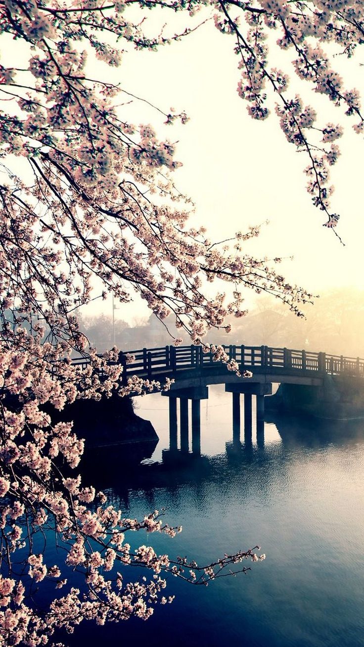 Spring 2025 Wallpapers - Wallpaper Cave