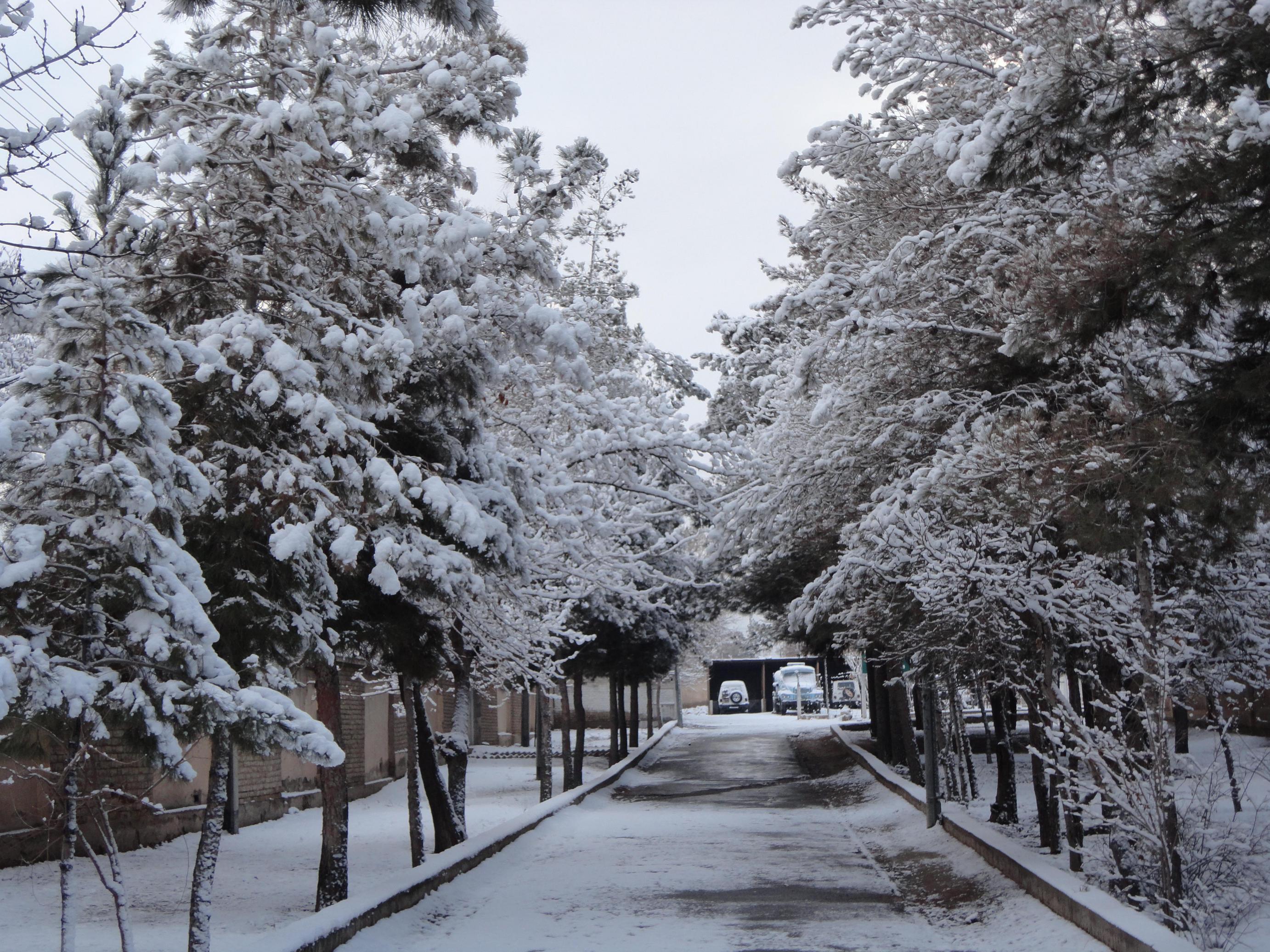 Quetta Wallpapers - Wallpaper Cave