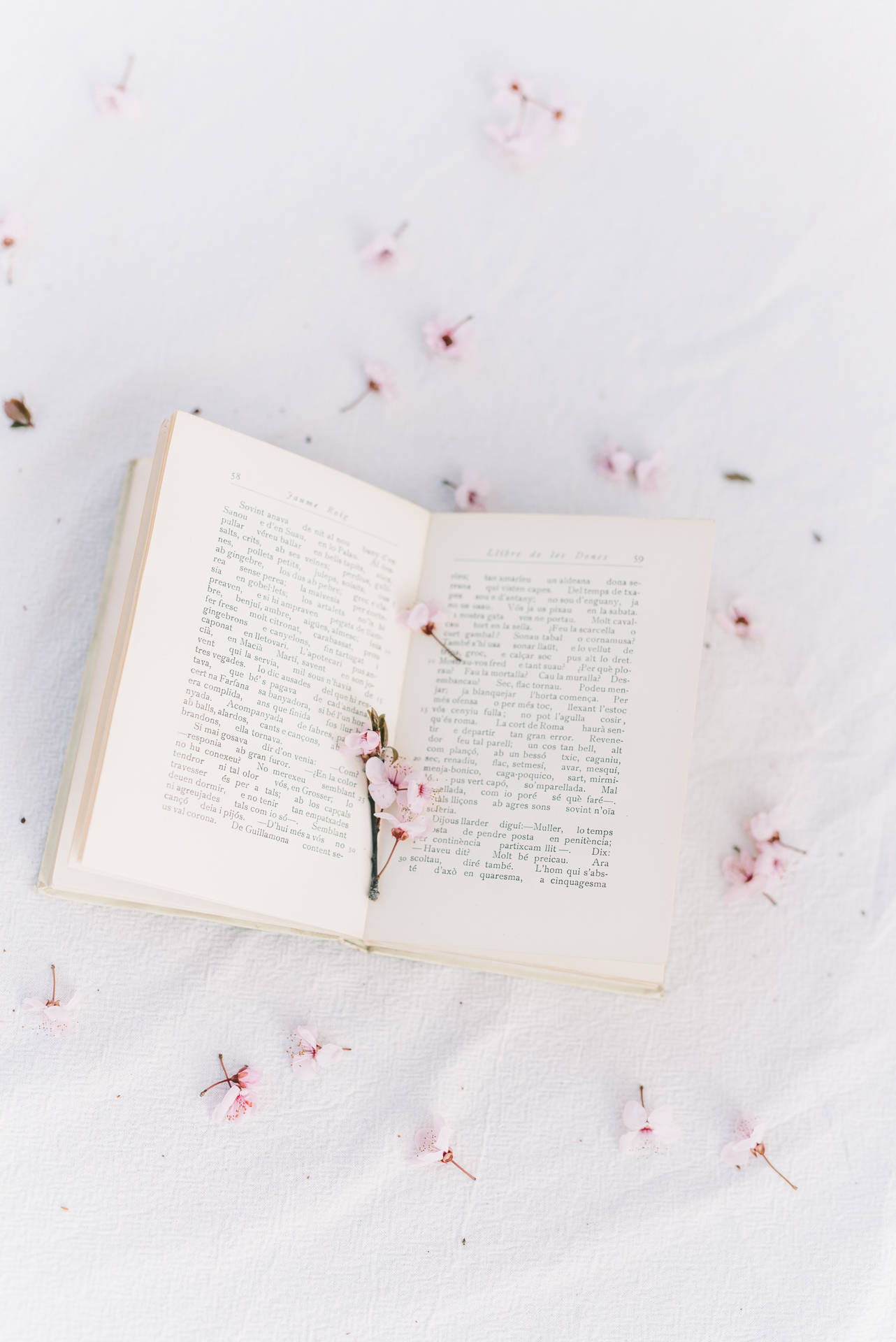 Pink Books Wallpapers - Wallpaper Cave