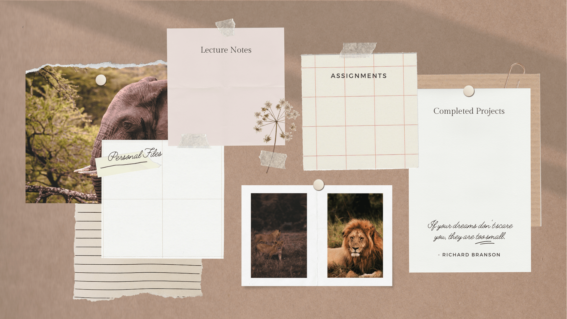 Student Desktop Wallpapers - Wallpaper Cave