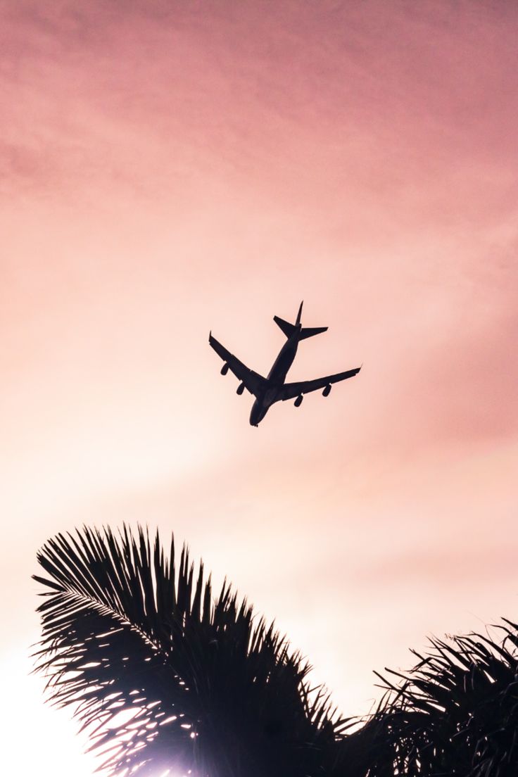 Pink Plane Wallpapers - Wallpaper Cave