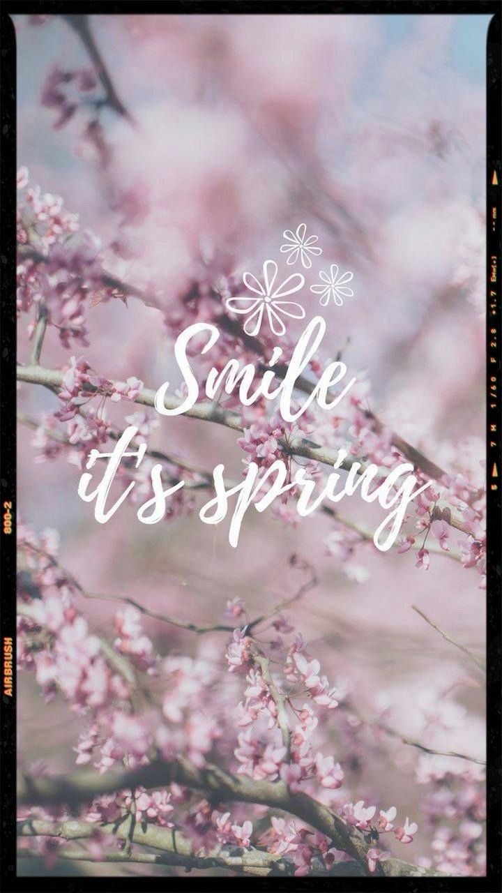 Spring Time Preppy Wallpapers - Wallpaper Cave