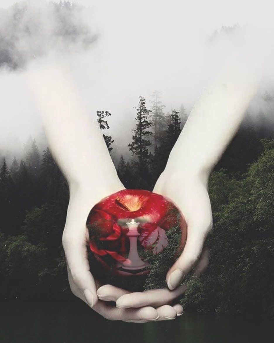 Twilight Books Wallpapers - Wallpaper Cave