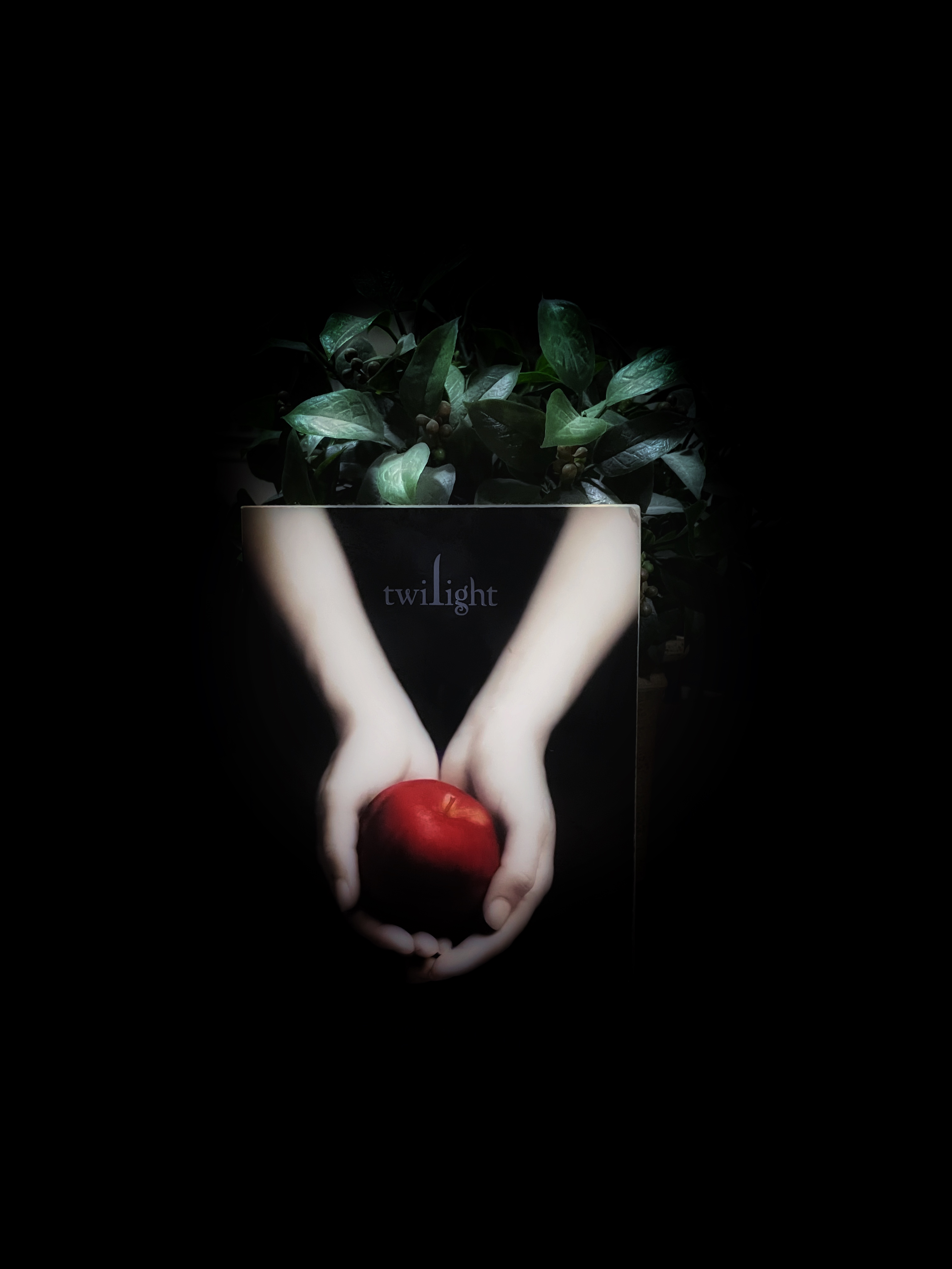 Twilight Books Wallpapers - Wallpaper Cave