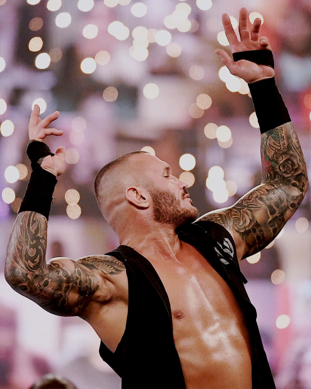 Randy Orton Iphone Wallpapers Wallpaper Cave