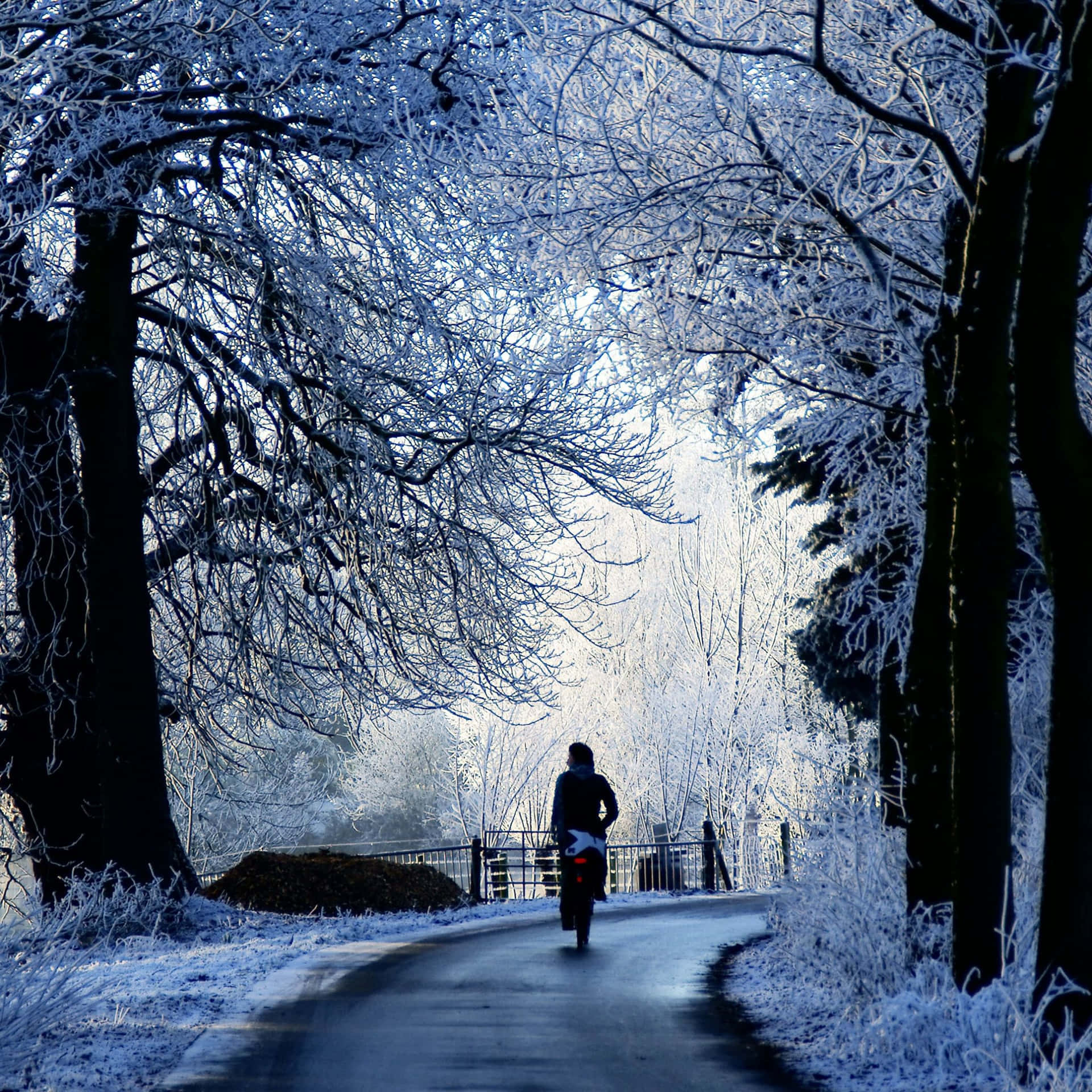 Winter Road Art Wallpapers - Wallpaper Cave