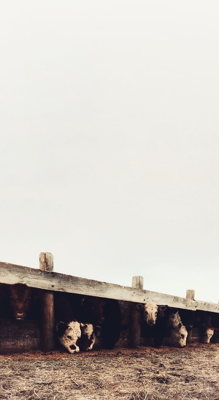 Country Phone Wallpapers - Wallpaper Cave