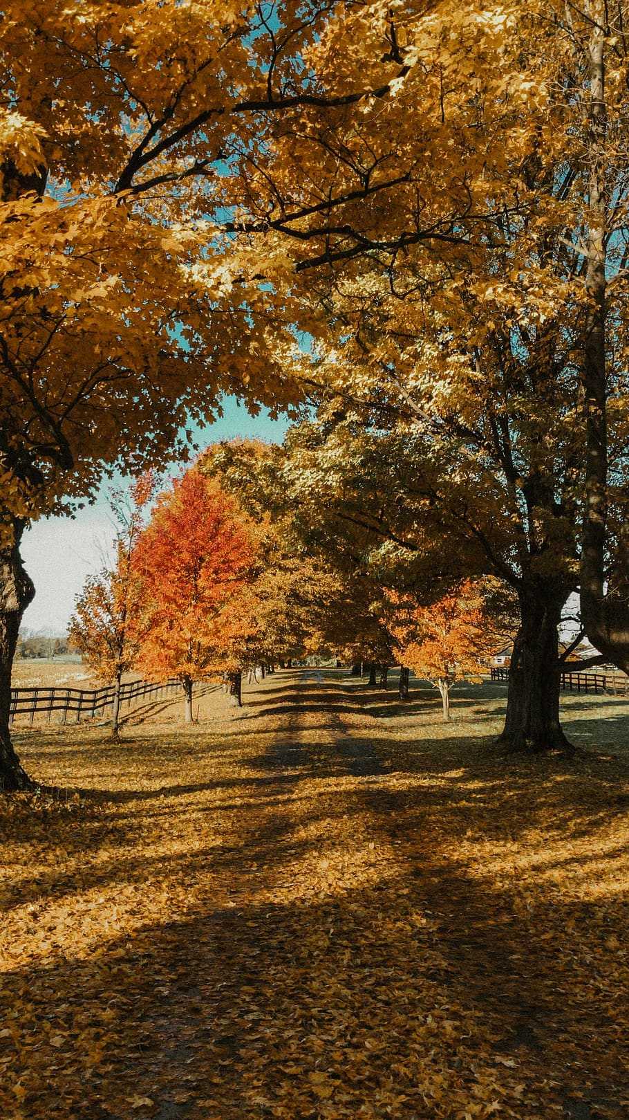 Country Phone Wallpapers - Wallpaper Cave