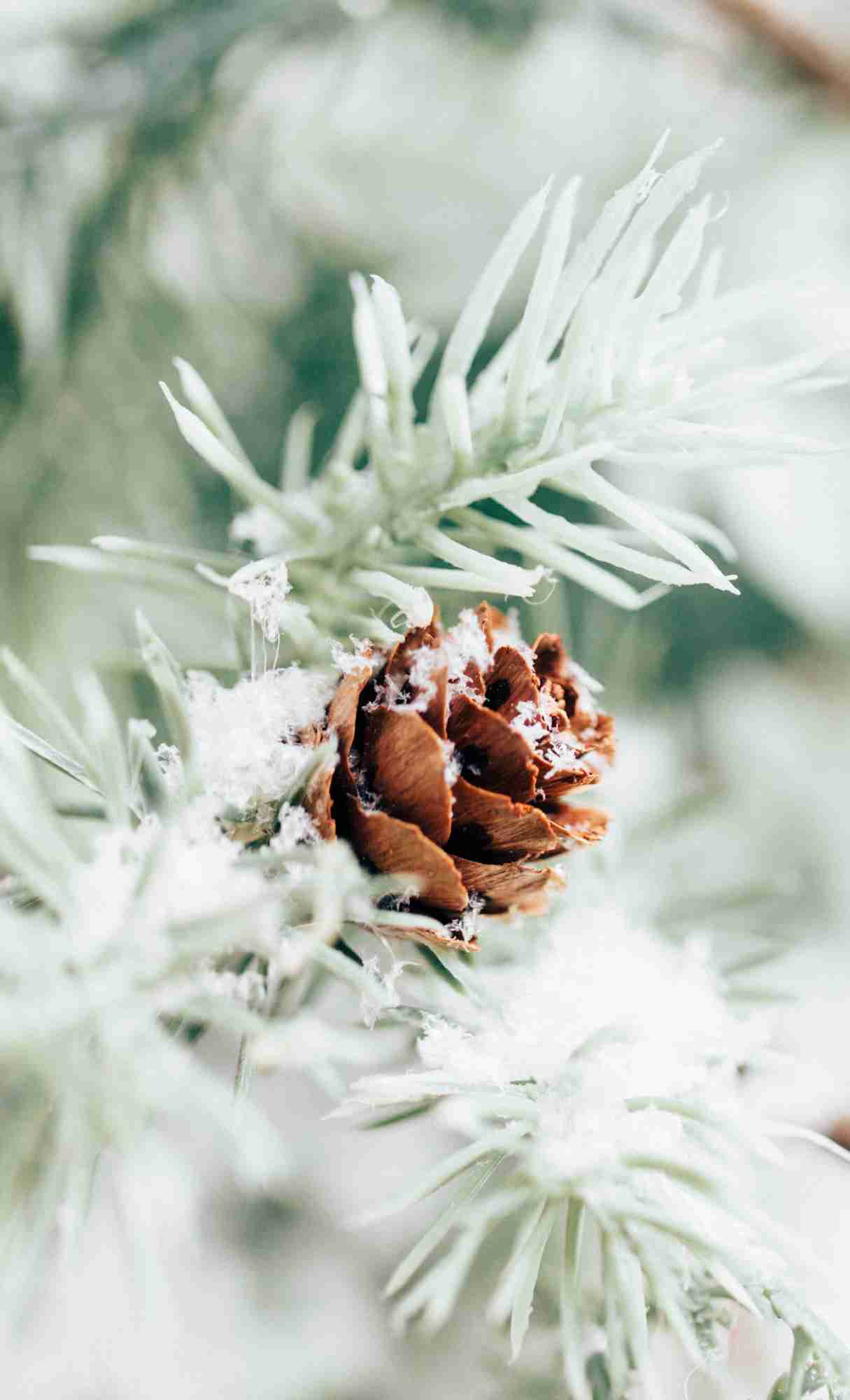 Snowy iPhone Wallpapers - Wallpaper Cave