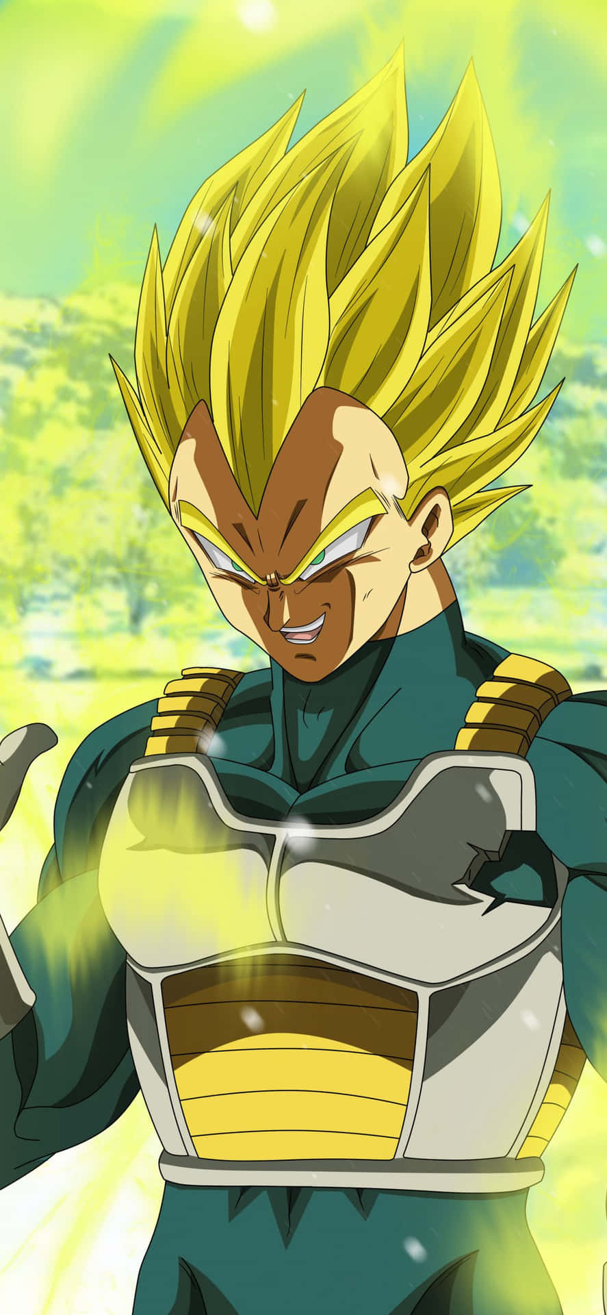 Vegeta Smile Wallpapers - Wallpaper Cave