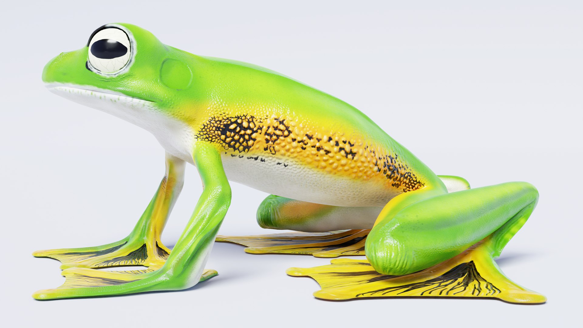 Wallace's Flying Frog Wallpapers - Wallpaper Cave