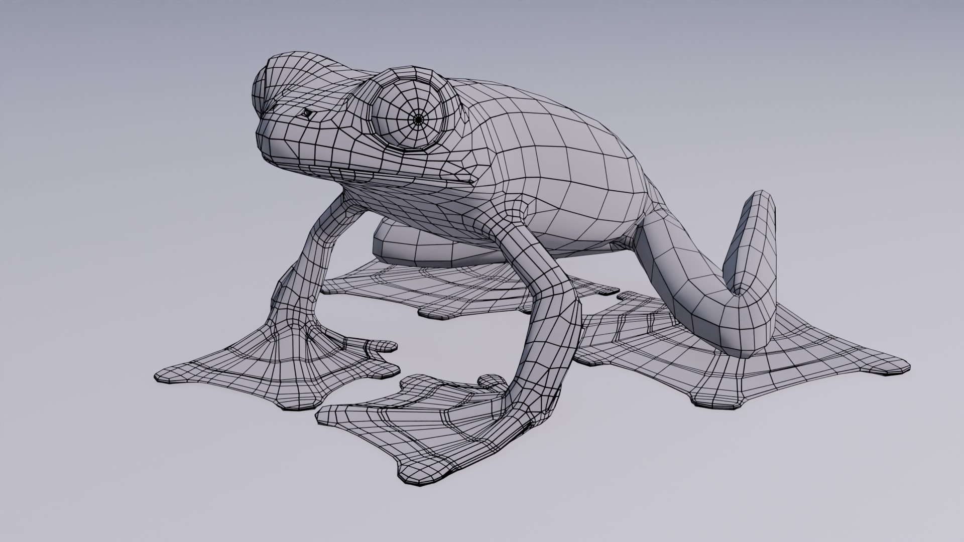 Wallace's Flying Frog Wallpapers - Wallpaper Cave