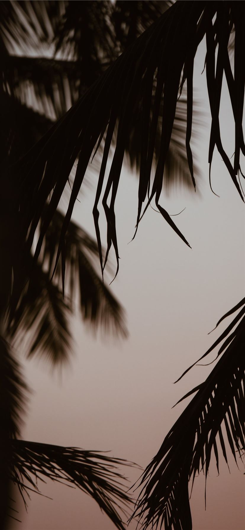 Tree Shadow Wallpapers - Wallpaper Cave