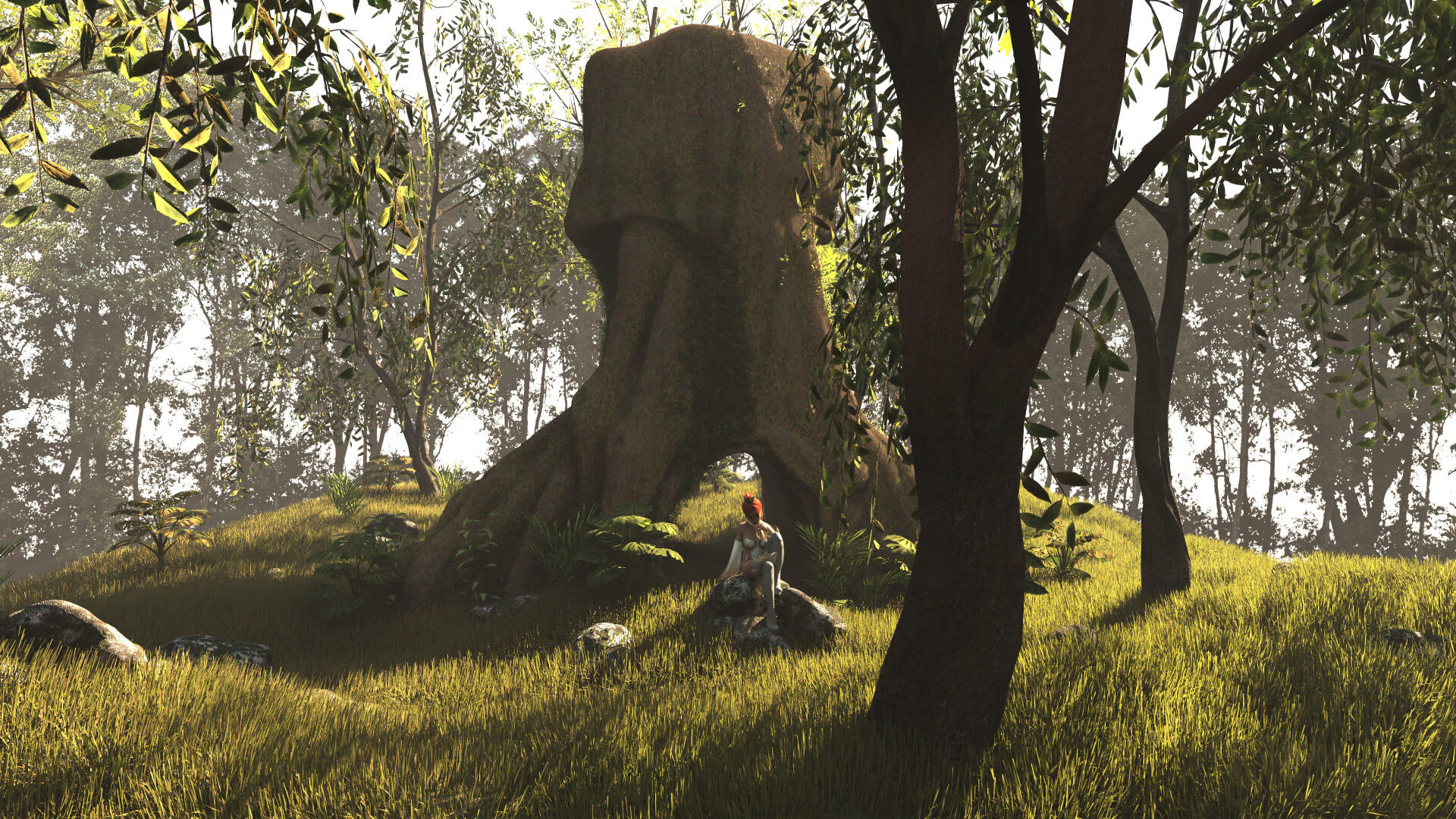 Tree Shadow Wallpapers - Wallpaper Cave