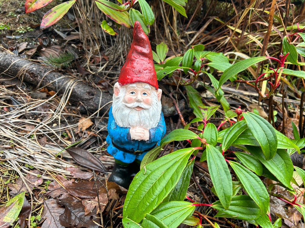 Computer Cute Gnome Wallpapers - Wallpaper Cave