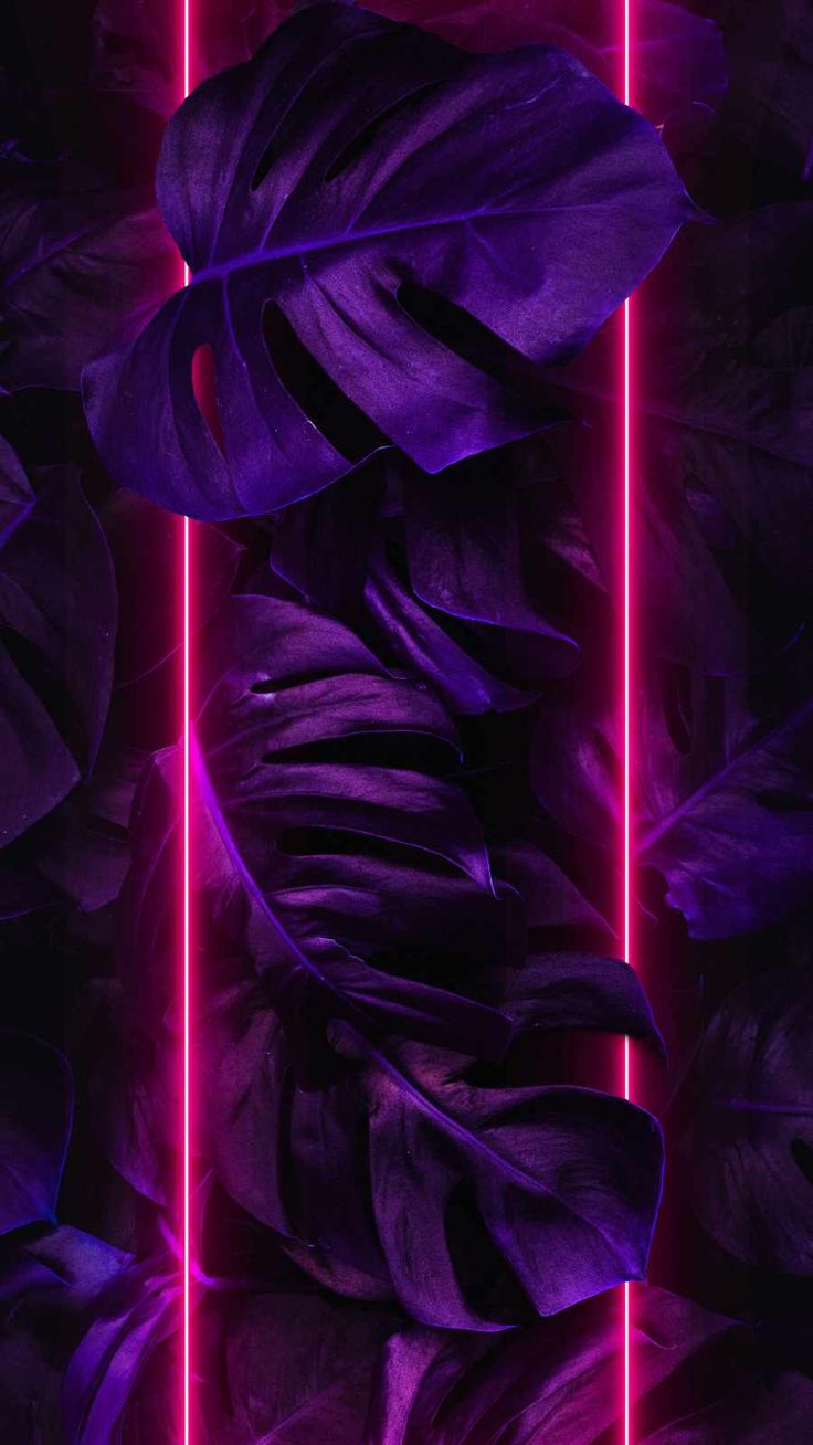 Dark Neon Wallpapers - Wallpaper Cave