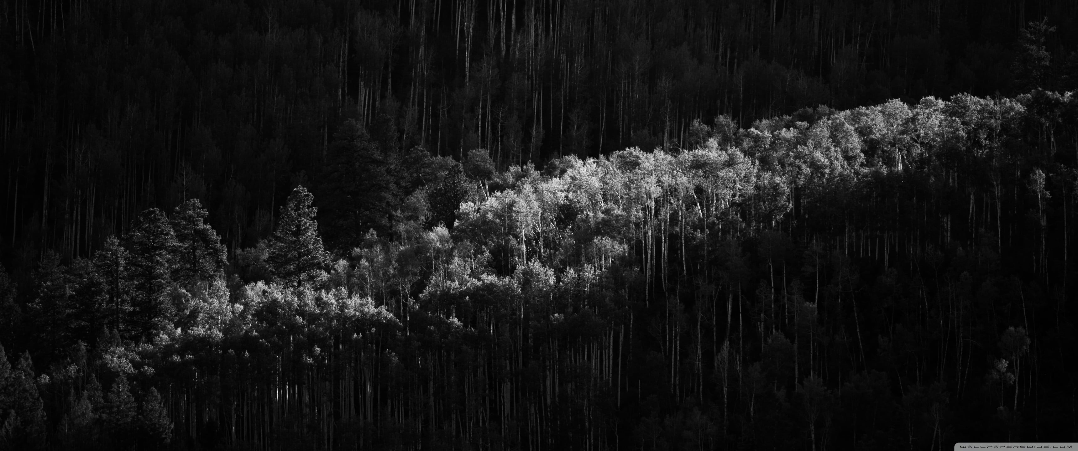 3440x1440 Black Wallpapers - Wallpaper Cave