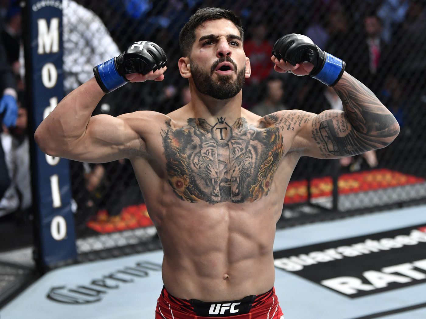 Ilia Topuria Wallpapers - Wallpaper Cave