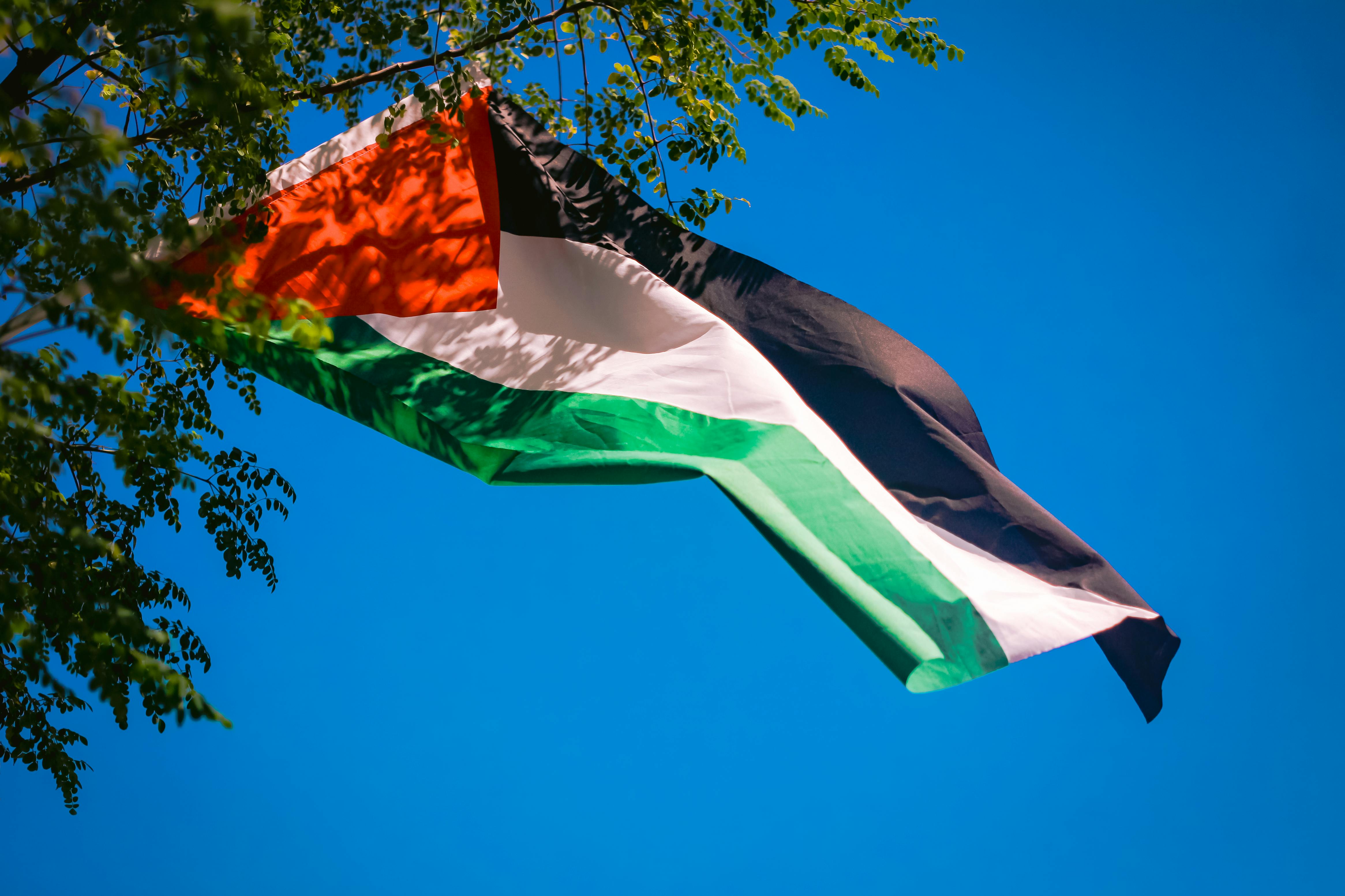 Palestine Flag 4k Wallpapers - Wallpaper Cave